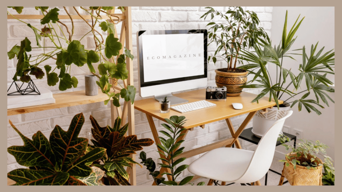 Sustainable Home Offices: Small choices make your daily routine